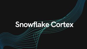 革新的なデータ解析を実現するSnowflake Cortexの全貌：最新事例から学ぶ効果的活用法 | Data Driven ...